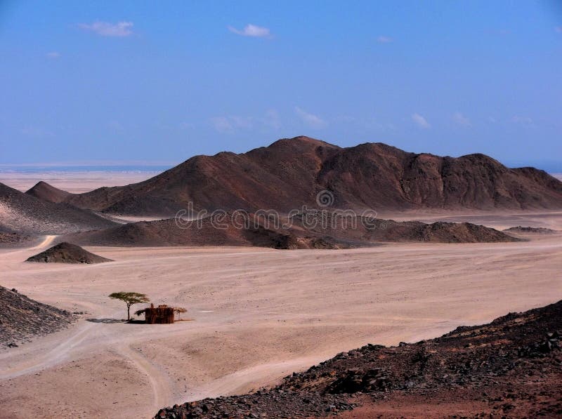 A Lonely Tree and a Building in the Desert. Stock Photo - Image of ...