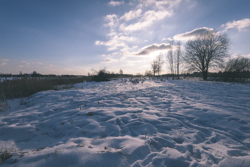 Lonely Tree in Countryside in Sunset - Vintage Look Retro Stock Image ...