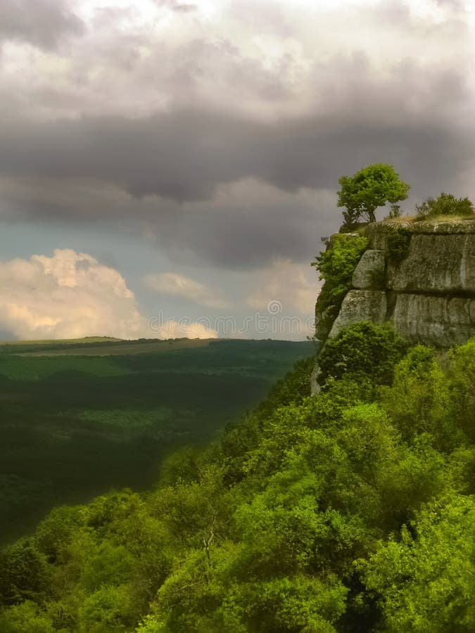 Lonely Tree on the Edge of a Mountain Cliff Stock Image - Image of edge ...
