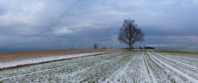 Lonely Tree on the Empty Field in the Winter Stock Image - Image of ...