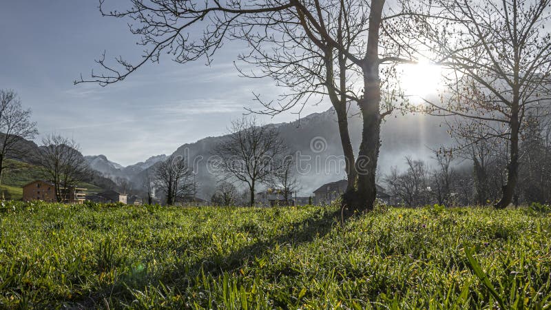 Lonely Tree in a Field, Mountain and Sunrise Stock Image - Image of ...