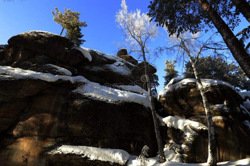 A Lonely Tree Growing on Top of a Cliff Stock Image - Image of tree ...
