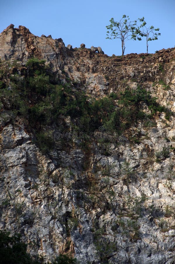Lonely Tree Growing on Top of the Rock Mountain. Stock Photo - Image of ...