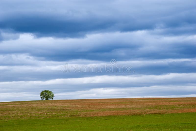 A Lonely Tree on the Horizon of a Field with a Thunderstorm Sky. Spring ...
