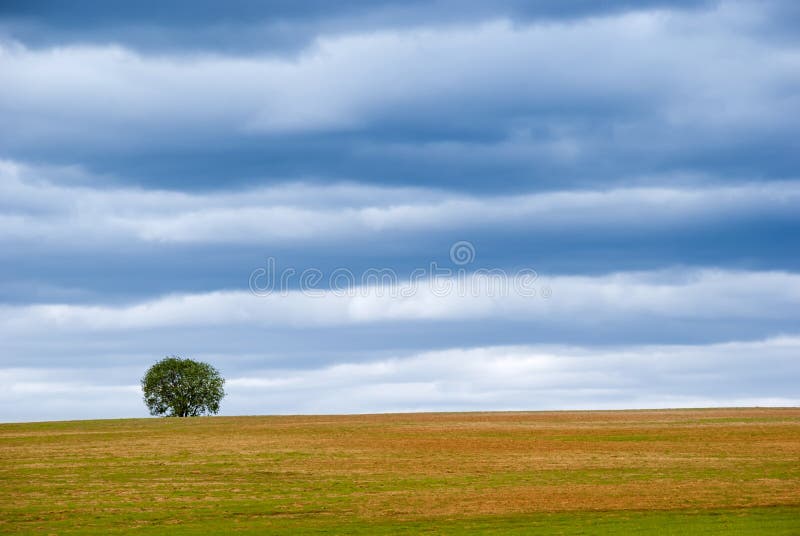 Horizon with field road stock photo. Image of blue, liptov - 24923156