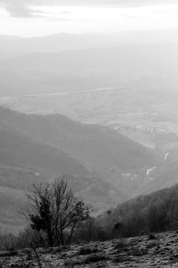 A Lonely Tree on a Mountain Cliff, with Others Mountains and Mist on ...