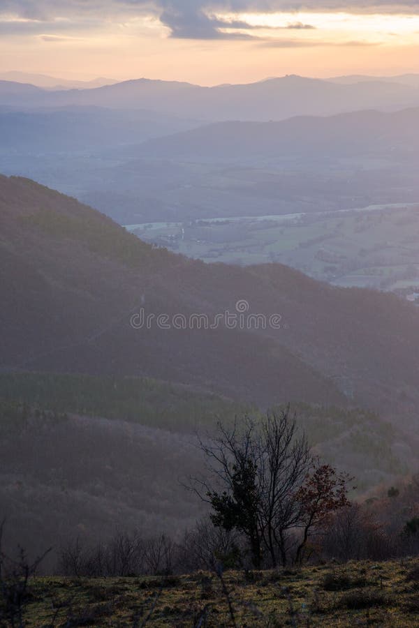 A Lonely Tree on a Mountain Cliff, with Others Mountains and Mist on ...