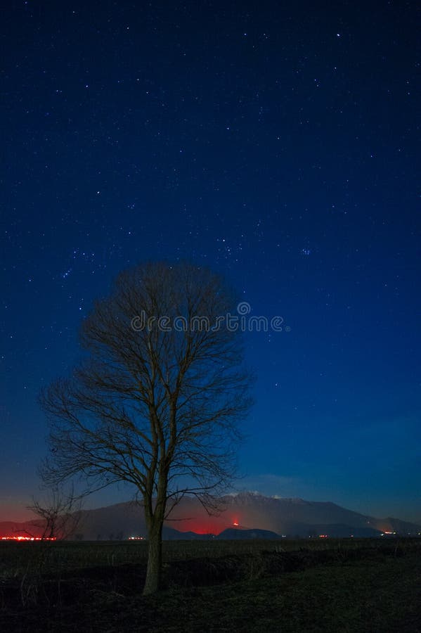 Lonely tree stock photo. Image of dusk, astronomic, long - 90388930