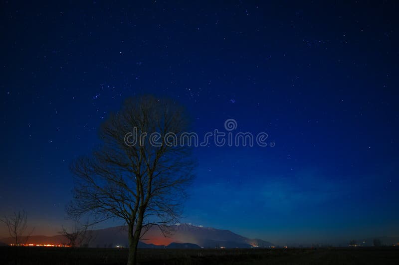 Lonely tree panorama stock image. Image of north, exploring - 90389063