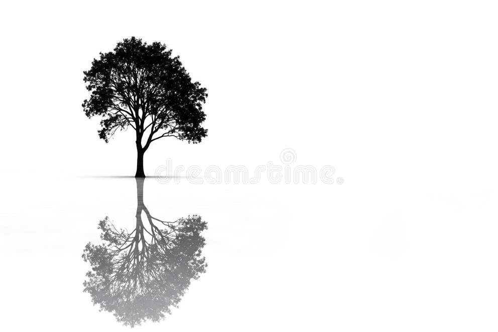 A Lonely Tree with a Reflection in the Water on a White Background ...