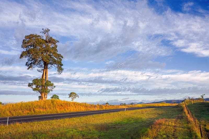 Beautifulagriculture Stock Photos - Free & Royalty-Free Stock Photos ...