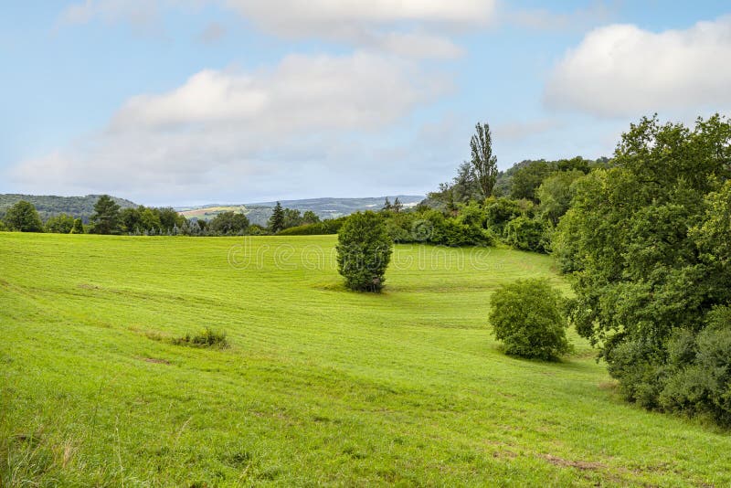 The Field Was Overgrown with Wild Grasses Stock Image - Image of iowa ...