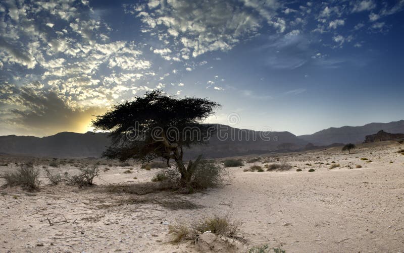 Arch in Timna Park, Israel stock photo. Image of hill - 18102136