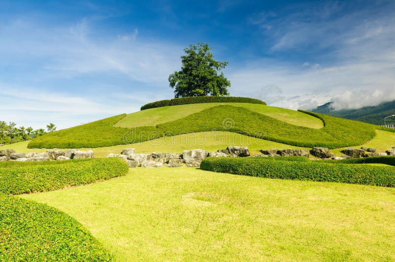 Lonely Tree on the Top of a Hill Stock Photo - Image of agriculture ...