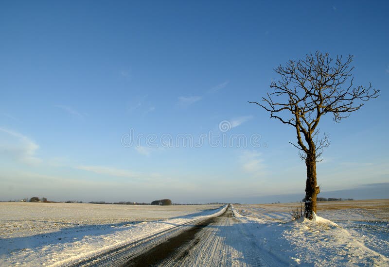 Lonely Tree In Winter Landscape Stock Photo - Image of tree, cold: 1131660