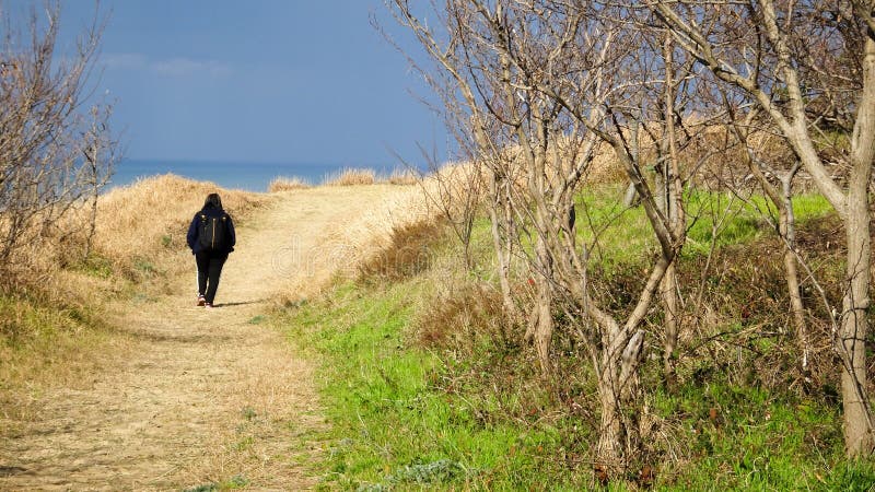 Lonely walk stock image. Image of loneliness, path, lonely - 10721341