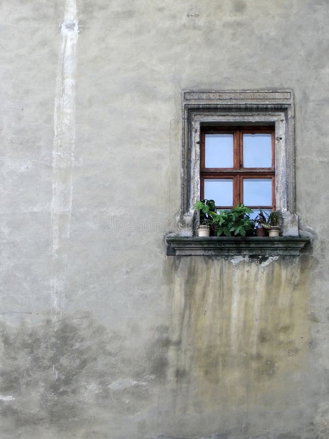 Lonely window stock photo. Image of green, ancient, shabby - 48224054