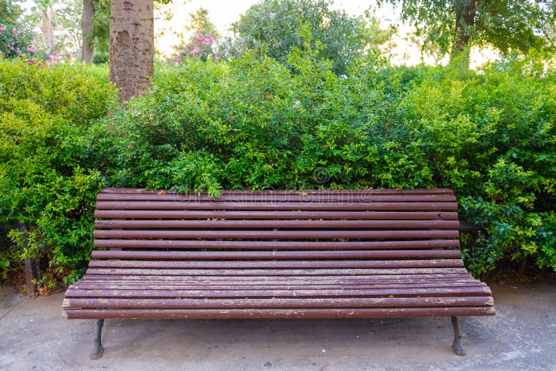 Lonely Wooden Bench To Sit in a Park Stock Photo - Image of peaceful ...