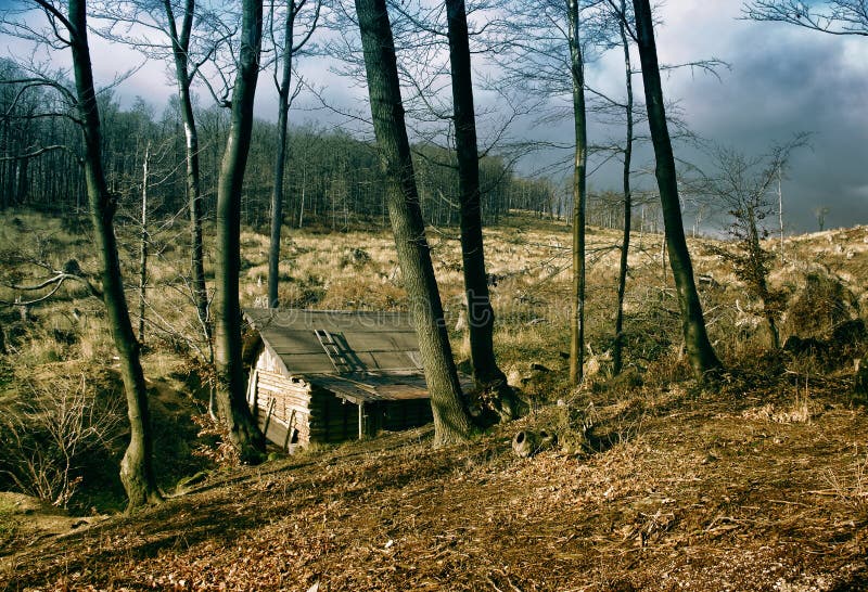 Lonely Wooden Cottage stock photo. Image of house, lonely - 49837548