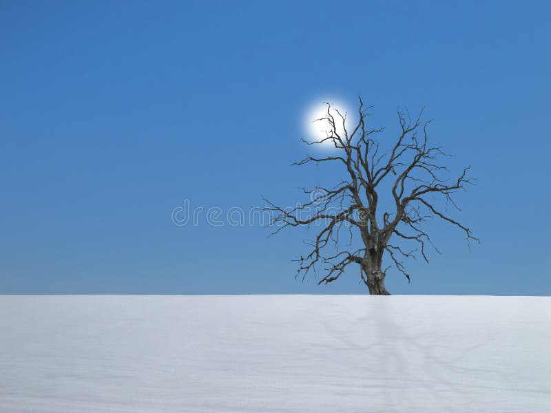 Winter tree stock image. Image of melancholia, backdrop - 30179469