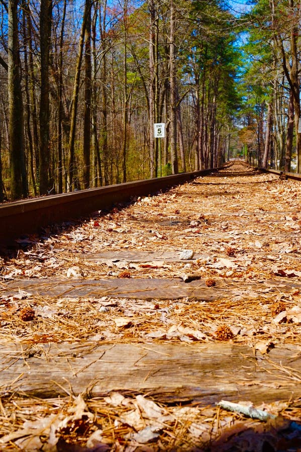 Lonesome Rail System in Georgia Woods Stock Image - Image of railway ...