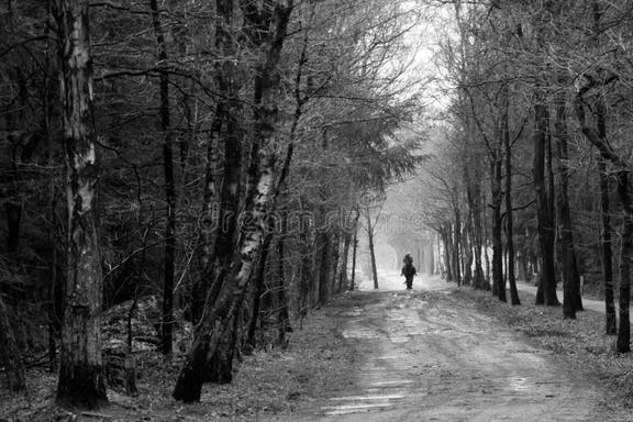 Lonesome Rider Decals Stock Photos - Free & Royalty-Free Stock Photos ...