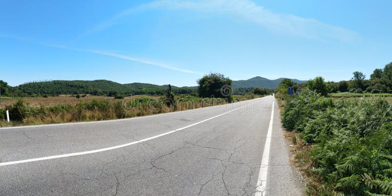 Long asphalt lane stock photo. Image of leaf, reflection - 193978320