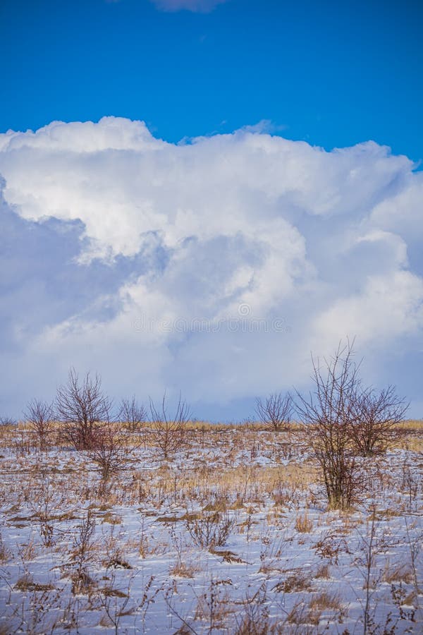 The Long-awaited Spring in the Countryside Stock Image - Image of ...