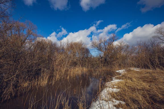 The Long-awaited Spring in the Countryside Stock Image - Image of ...