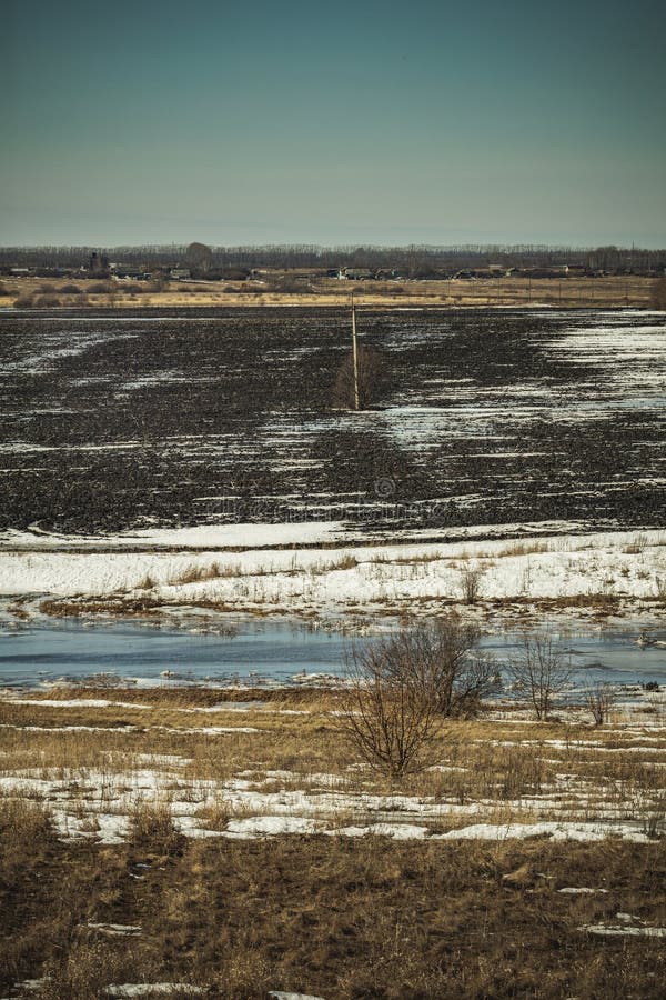 The Long-awaited Spring in the Countryside Stock Image - Image of ...
