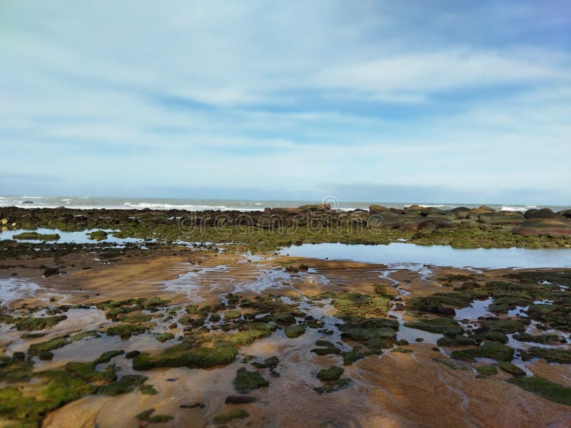 Long Beach at the Border of West Borneo Stock Photo - Image of beach ...