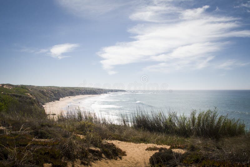 Long beach landscape line stock image. Image of europa - 198134133