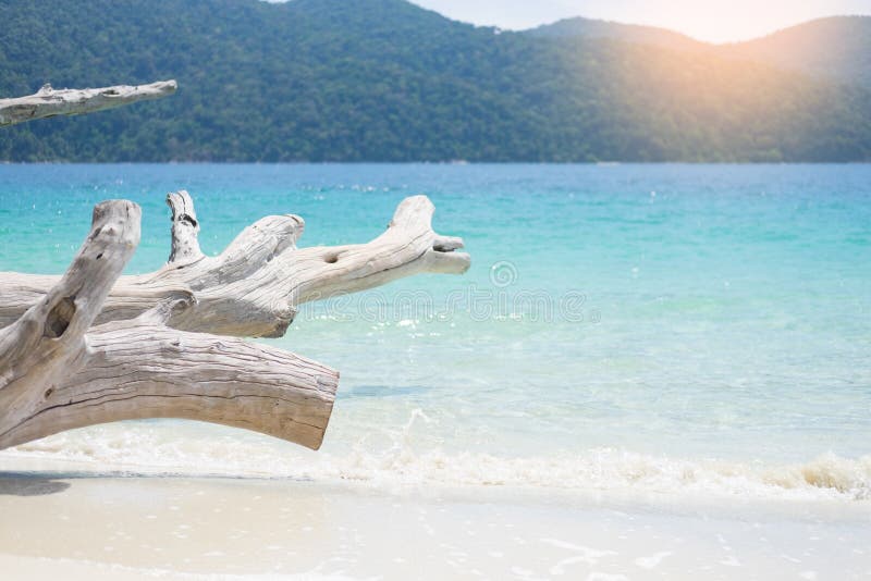 Long Beach Sea with Timber and Blue Sky. Stock Photo - Image of port ...