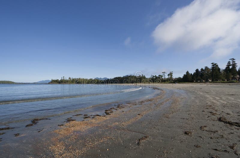 Long Beach and Temperate Rainforest Stock Photo - Image of long, ocean ...