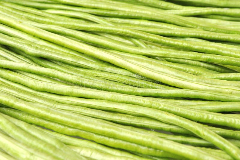 Long bean stock photo. Image of vegetable, food, organic - 28755384