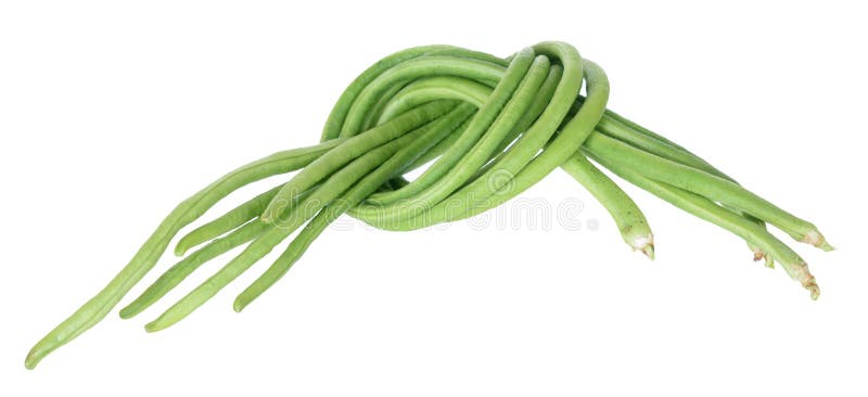 Long bean stock photo. Image of healthy, vine, isolated - 46731920