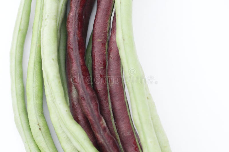 Long bean stock photo. Image of meal, healthy, plant - 42379026