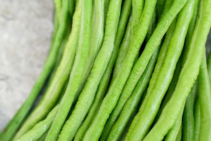 Long bean stock photo. Image of close, seed, culture - 54899366