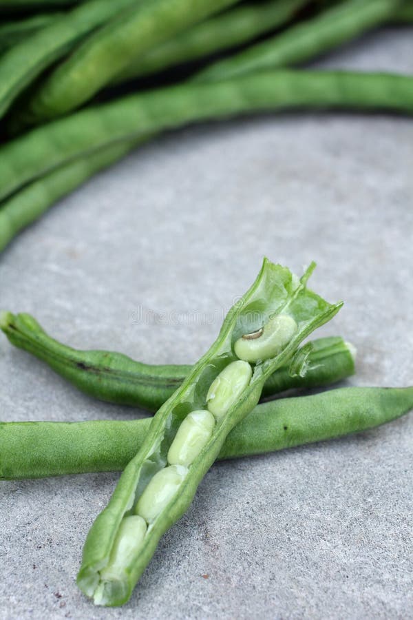 Long bean stock image. Image of yard, white, fresh, vitamin - 35408945