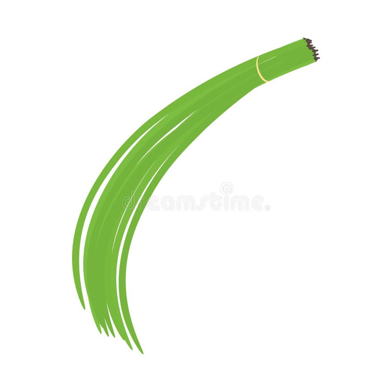 Long Bean Icon Template Illustration Stock Vector - Illustration of ...
