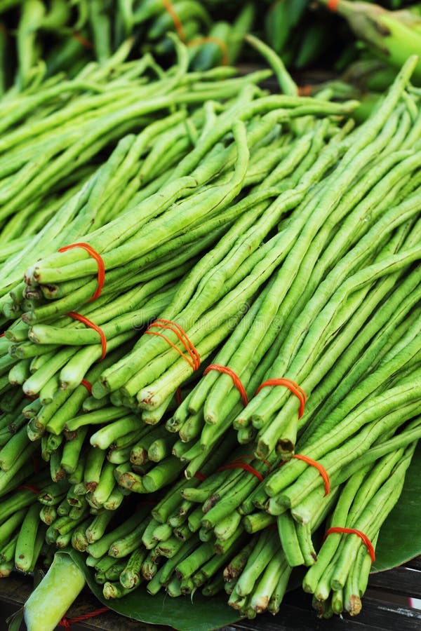Long bean in the market stock photo. Image of yard, fresh - 34861610