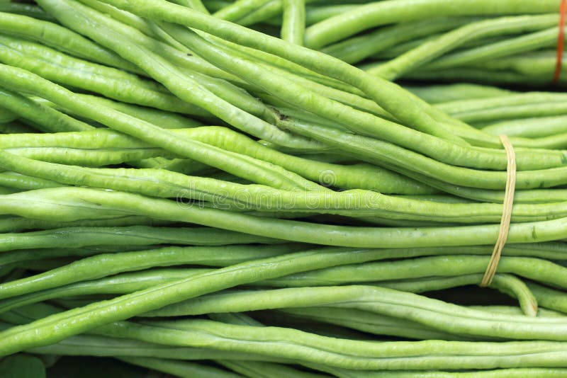 Long bean in the market stock photo. Image of garden - 40034312