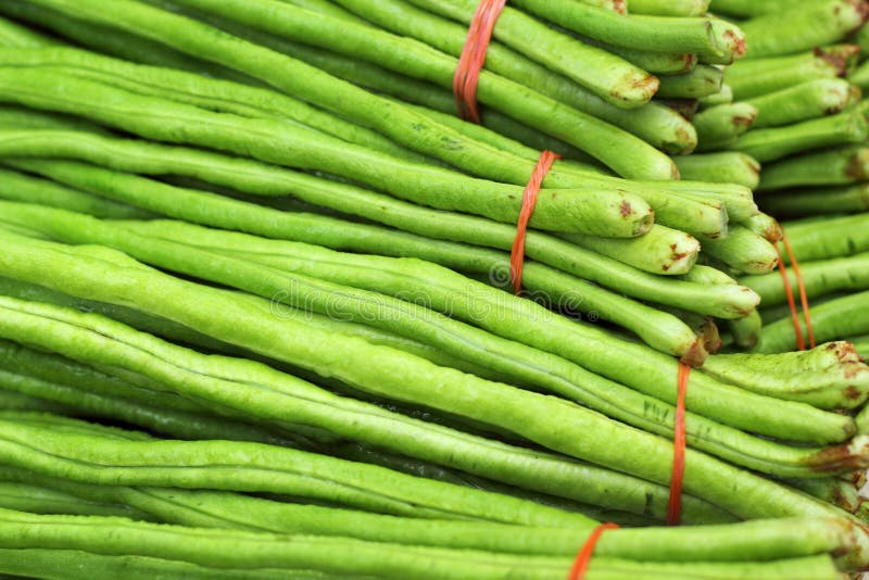 Long bean in the market stock photo. Image of vegetable - 43921578