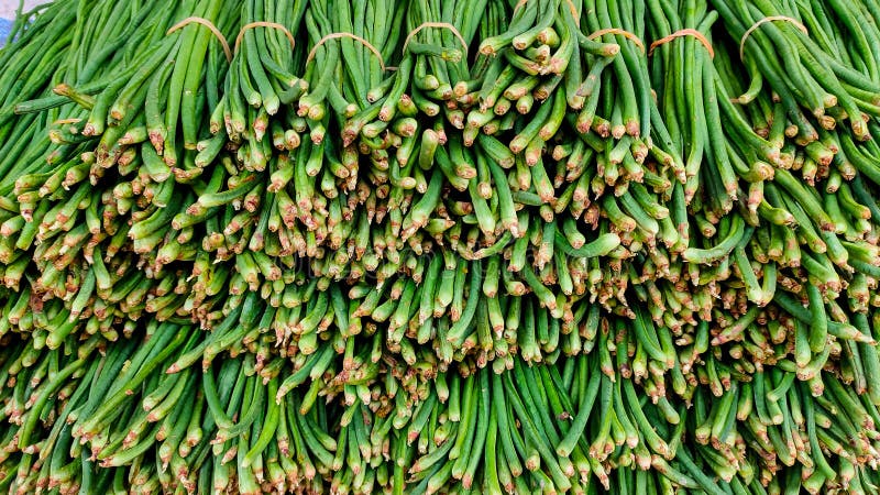 Long Bean Vegetables are Sold in Traditional Markets Stock Photo ...