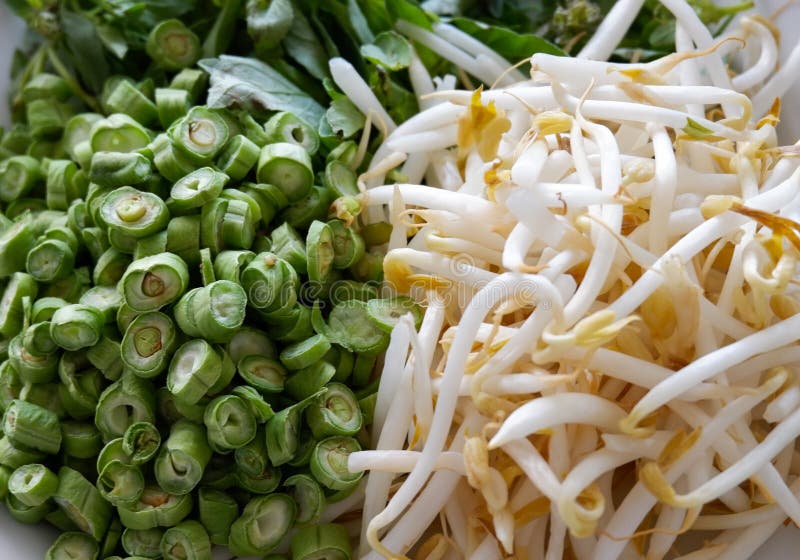 Long Beans Chopped and Bean Sprouts Stock Photo - Image of long, plant ...