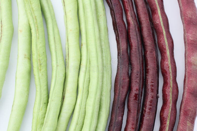 Long beans stock photo. Image of close, food, natural - 42379222