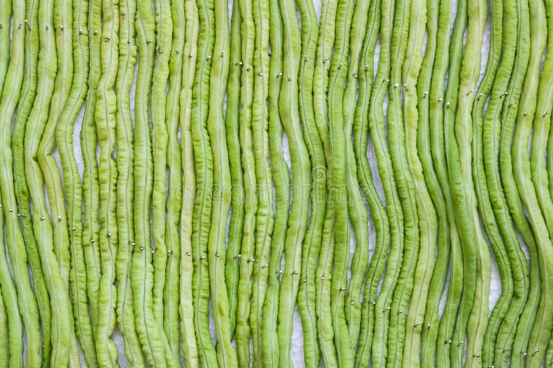Long Beans and Decorations on the Board Stock Image - Image of detail ...