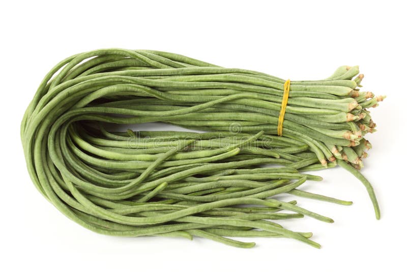 Long beans stock photo. Image of green, close, chinese - 39997378