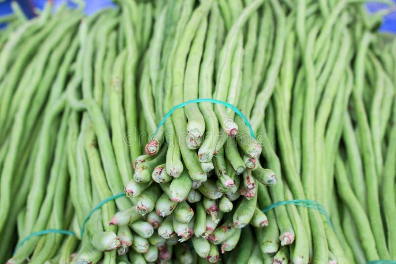 Long beans stock photo. Image of fiber, market, vegetables - 34496712