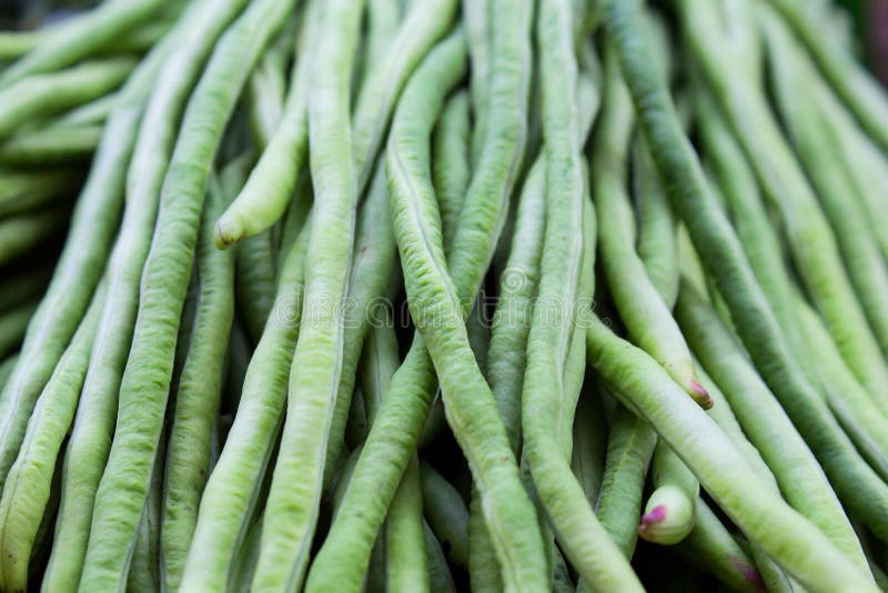 Long beans stock image. Image of beans, leaves, market - 34496847